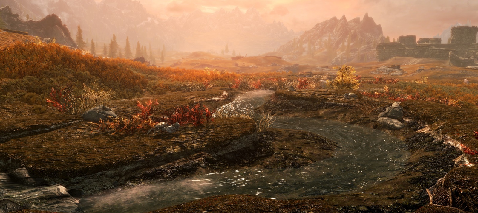 Skyrim Special Edition появился благодаря Fallout 4 - Shazoo