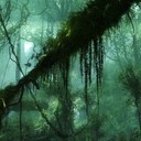 Фильм на CryEngine 2 - Shazoo