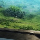 Фильм на CryEngine 2 - Shazoo