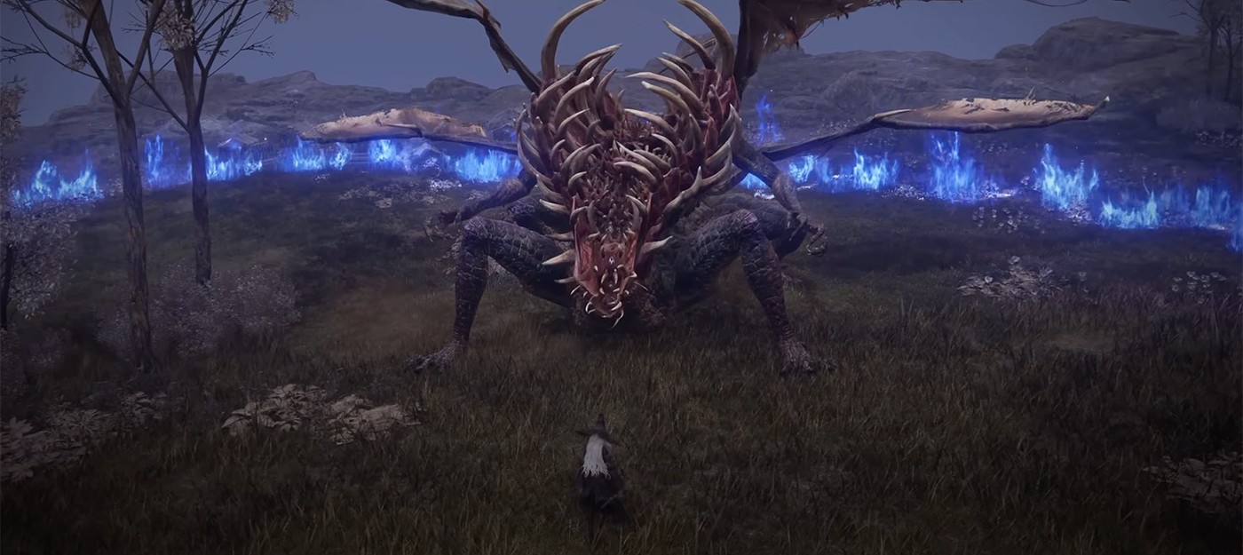 Исследовательница игр FromSoftware разобрала обновленную механику захватов в Elden Ring ...