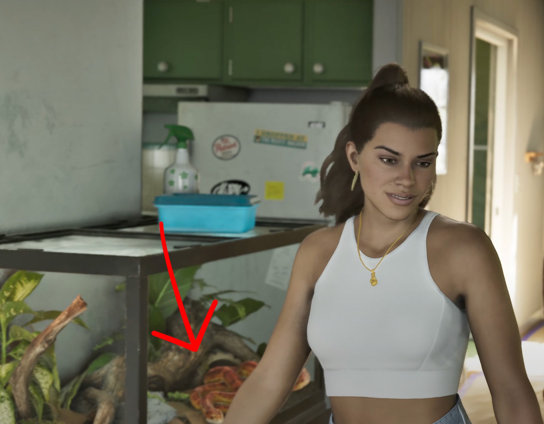 Коты, еноты и белая акула – какие животные замечены во втором трейлере GTA 6 - Shazoo