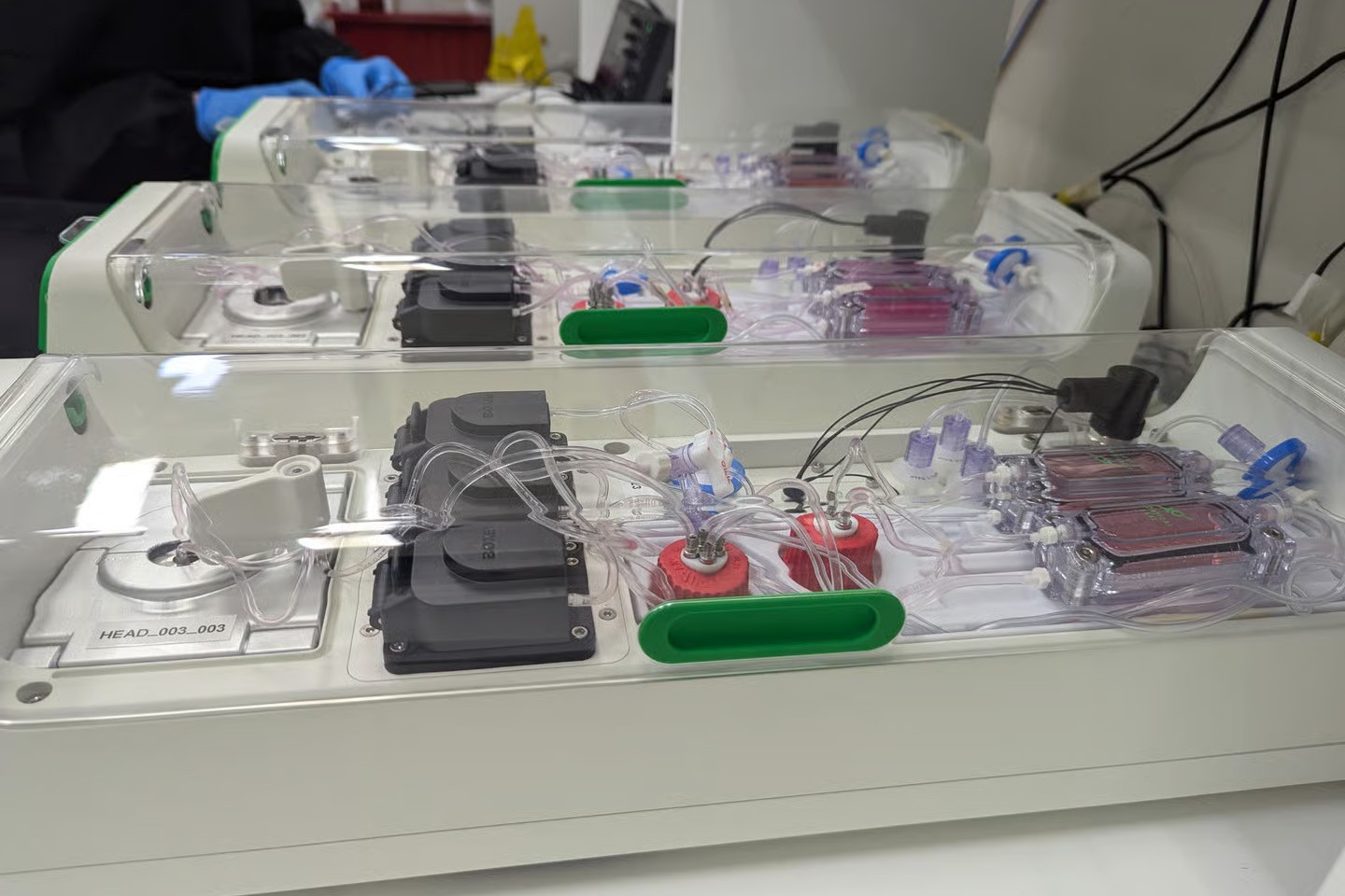 Cortical Labs начала сборку первого в мире коммерческого биокомпьютера с клетками человеческого ...